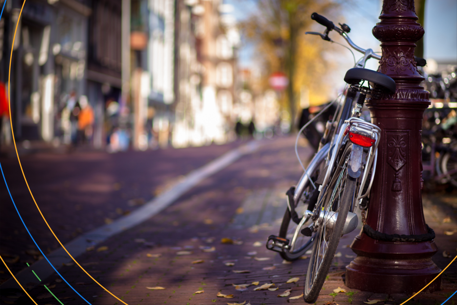 How the Netherlands Built a Successful Bike Infrastructure ...